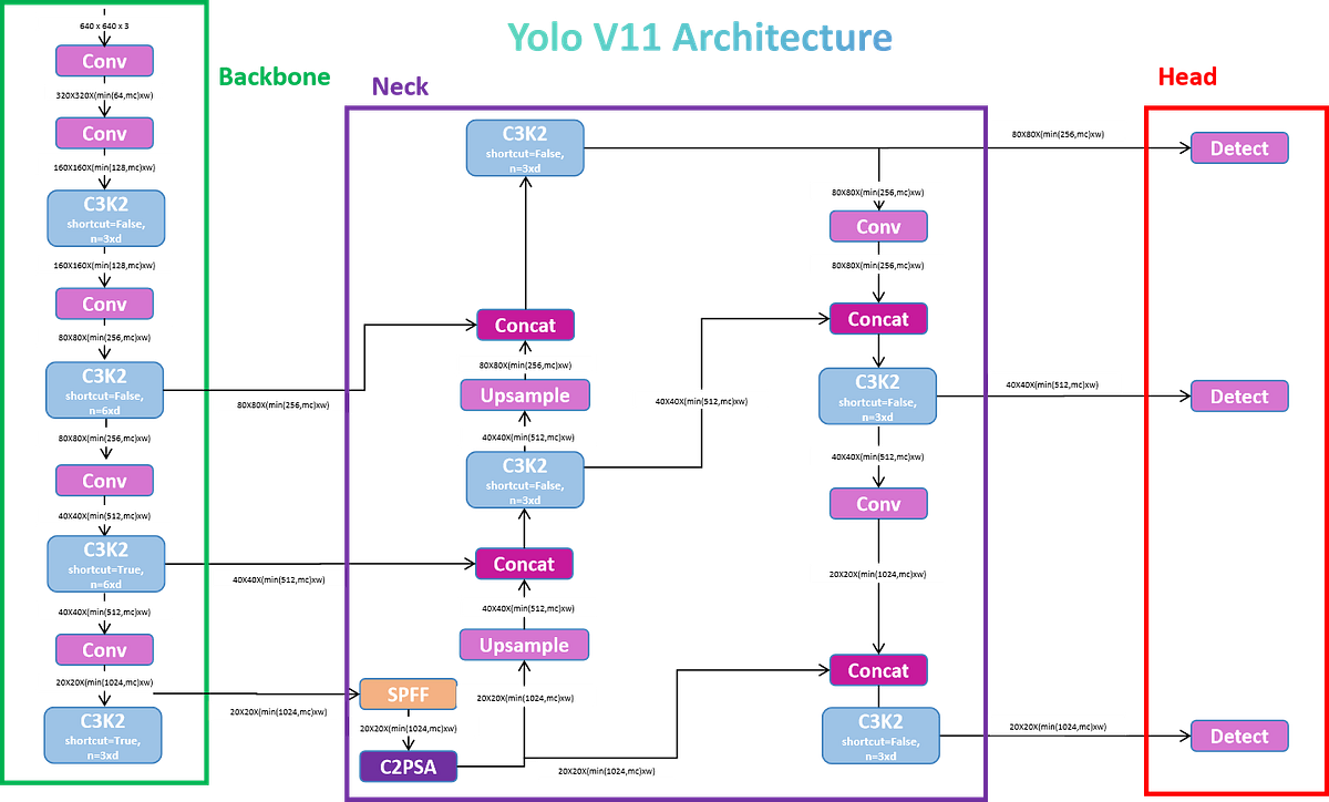 YOLOv11 Architecture Explained: Next-Level Object Detection with Enhanced Speed and Accuracy ...