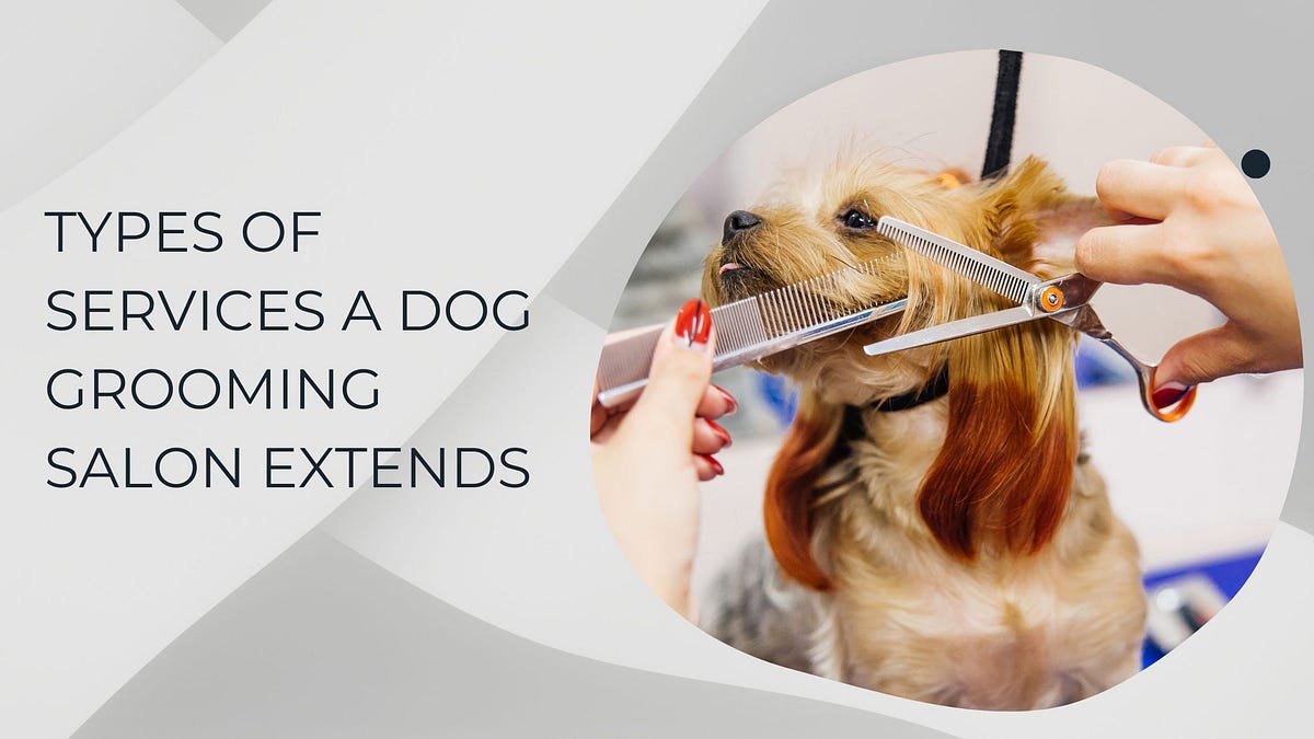 What Are The Types Of Services A Dog Grooming Salon Provides? | by Bark ...