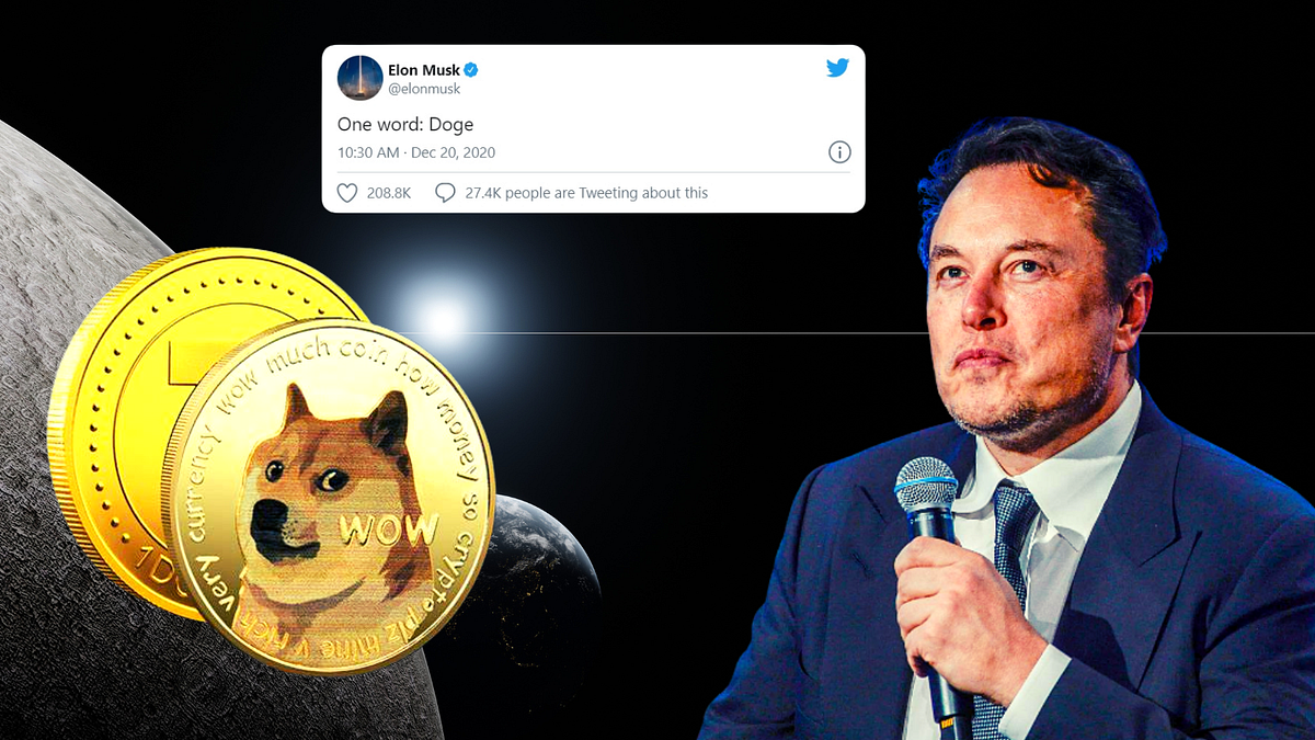 Why Dogecoin Could Explode With Elon Musk’s Twitter Takeover! | by Crypto Hub | Medium