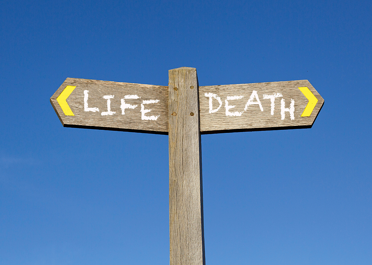 Beyond the Final Goodbye: When the Departed Send Signs from the ...