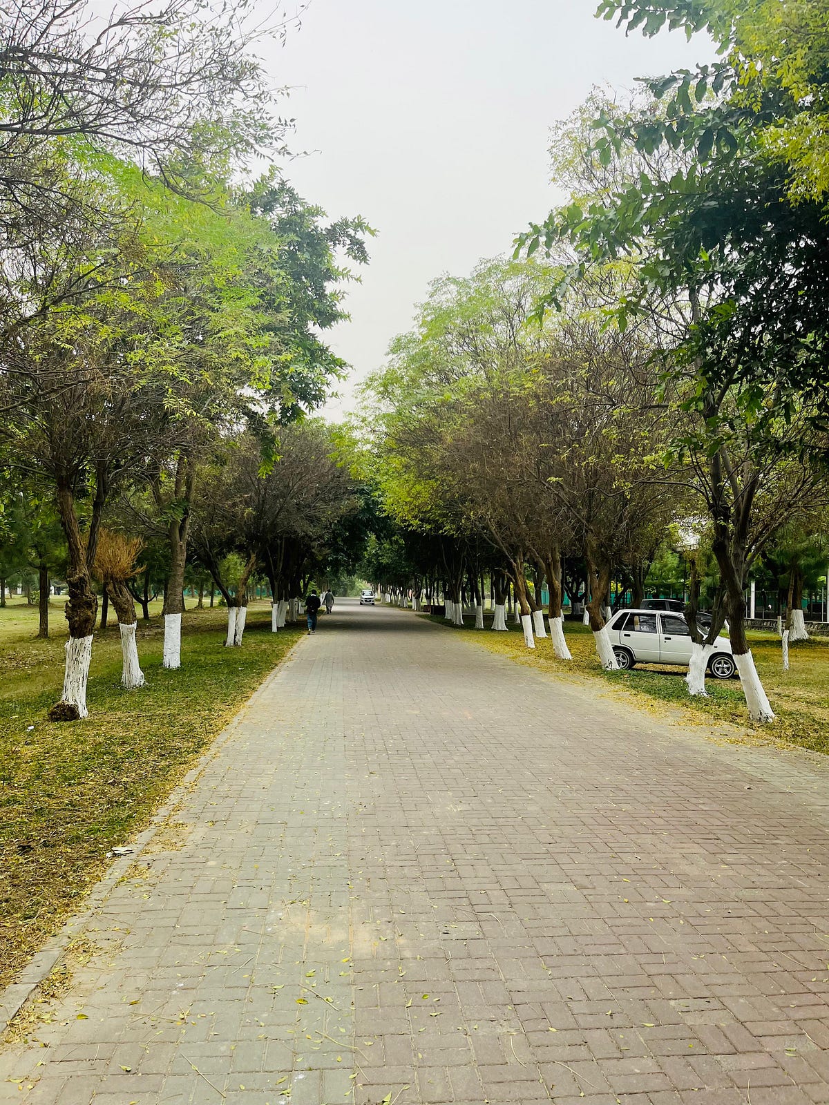 Photo Journal: From Hostel 5 to Central Library (IIUI) | by Mujeeb U ...