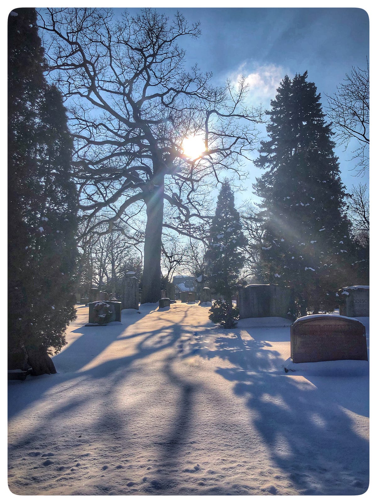 Cemeteries Are Filled With Life (Stories) | by Susan Scandiffio | Medium