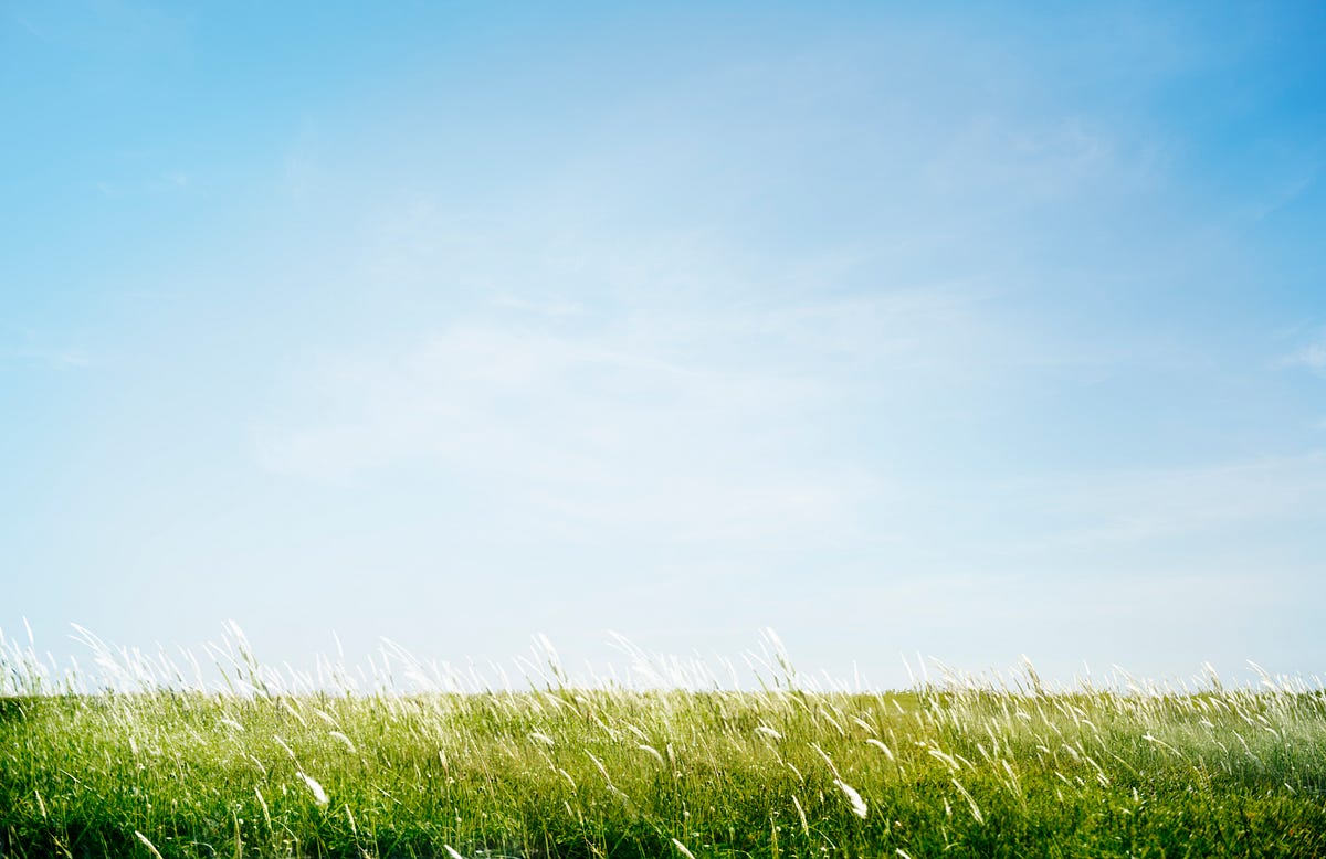 An Introduction to Tailwind CSS: A Utility-First CSS Framework | by ...