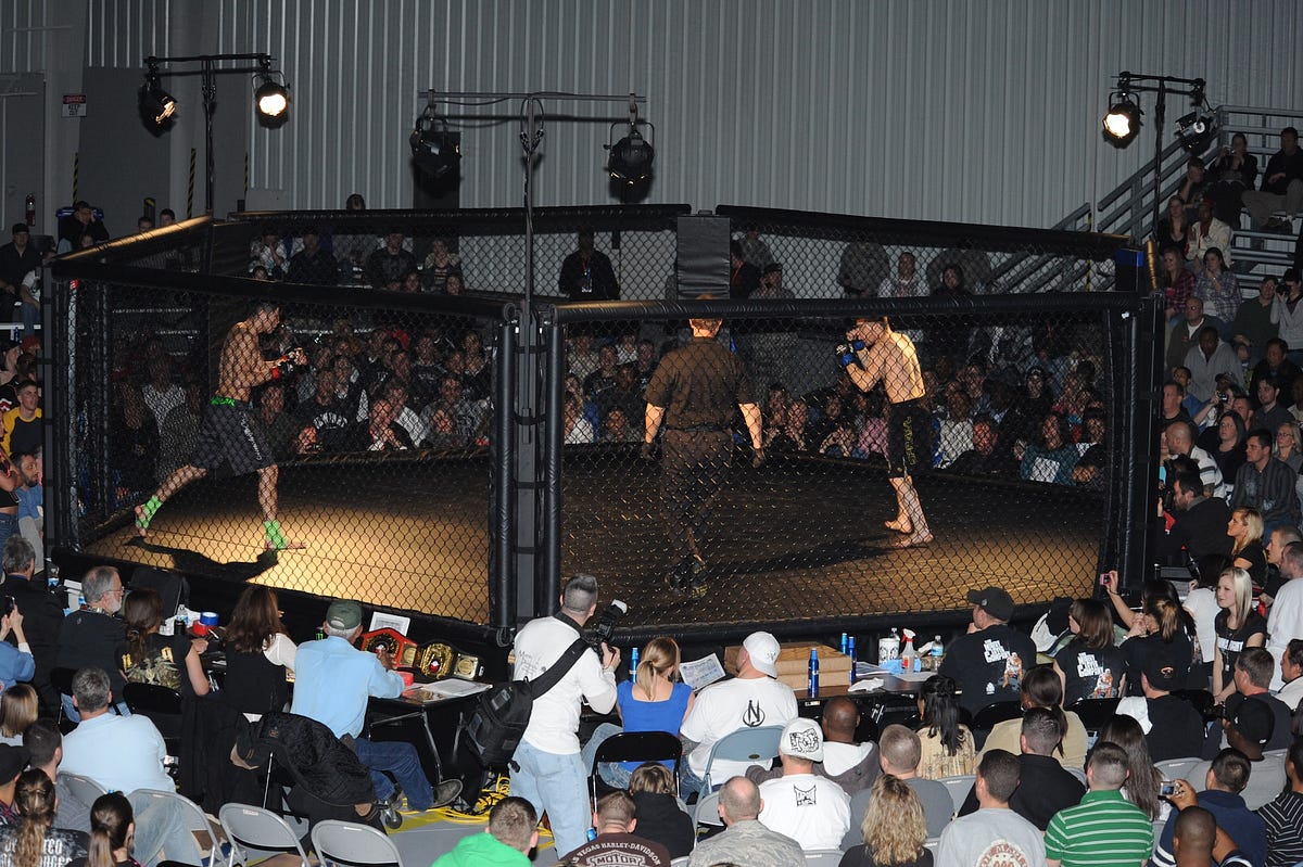 Unleashing Greatness: A Comprehensive Look at the Best MMA Fighters of ...