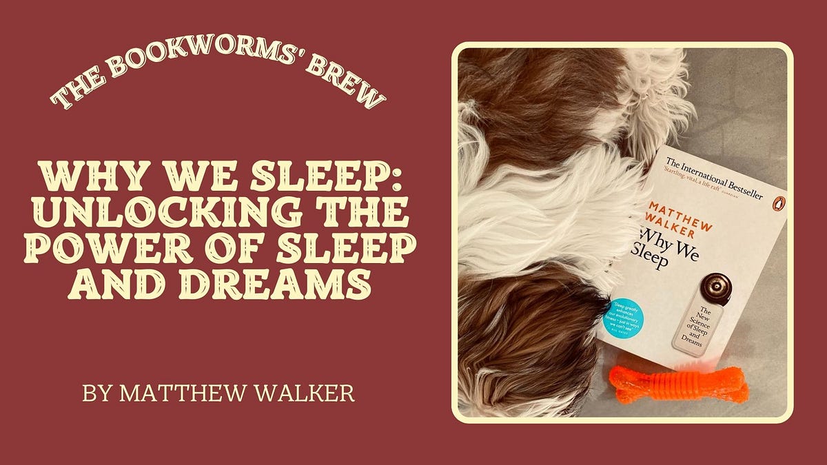 Snoozing Smarter: Unpacking ‘Why We Sleep’ by Matthew Walker | by ...