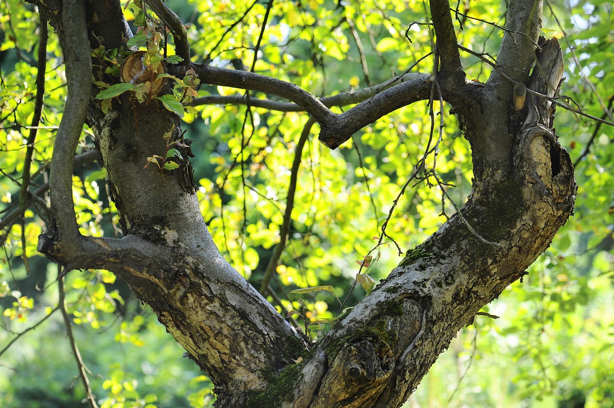 What Does Health Actually Mean?. How Our Thoughts Influence Our ...