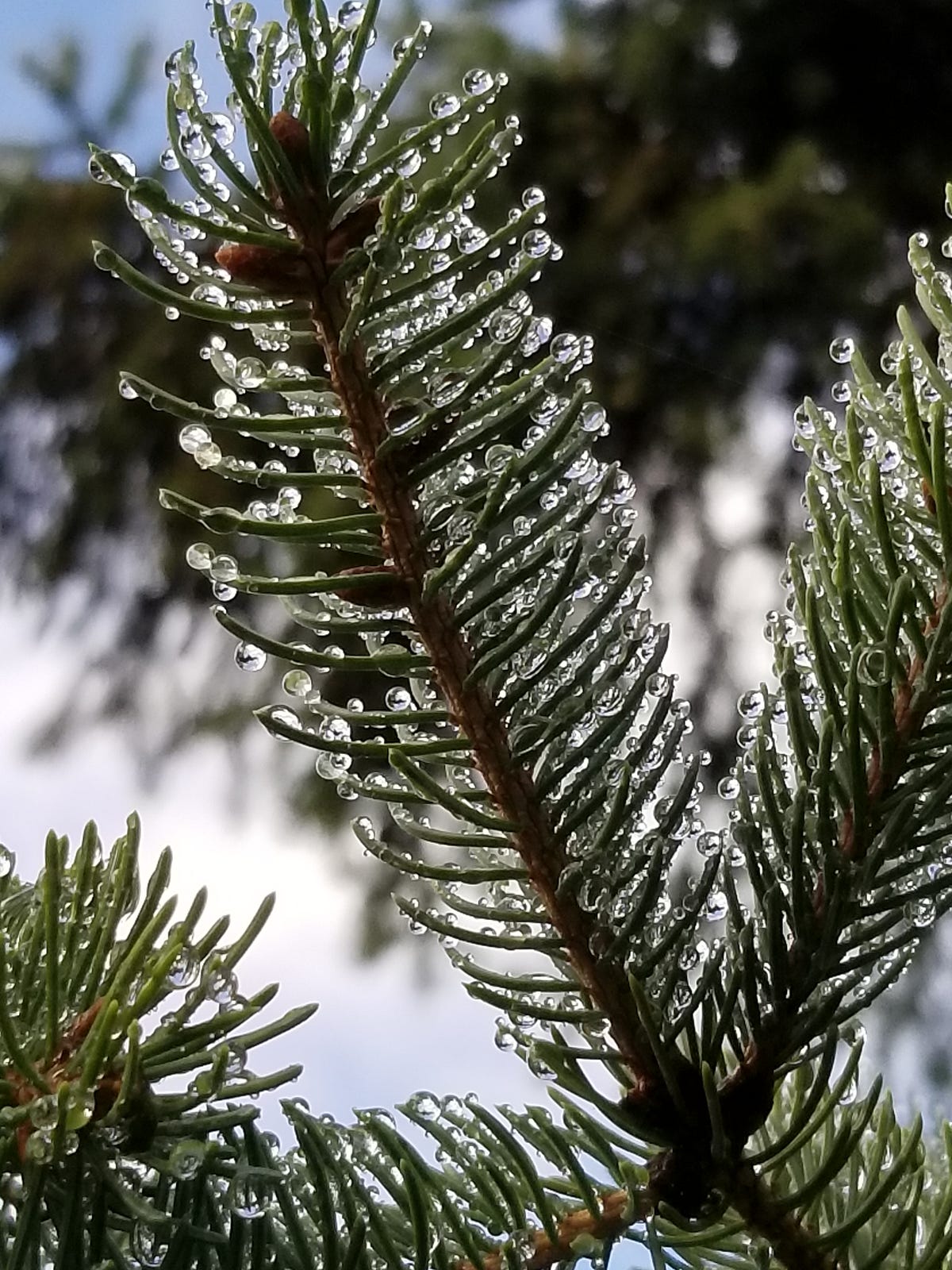 The Little Things. Marvel - verb: be filled with wonder or… | by Angela ...