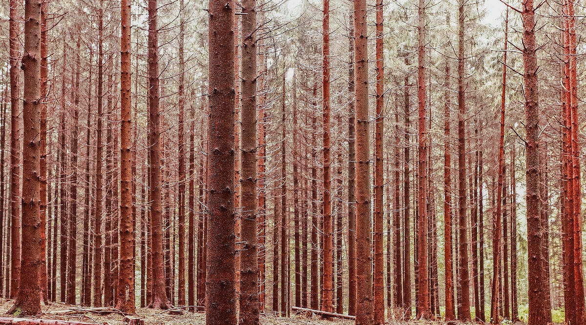 Treemaps, Why and How. Storytelling with Treemaps | by Darío Weitz ...