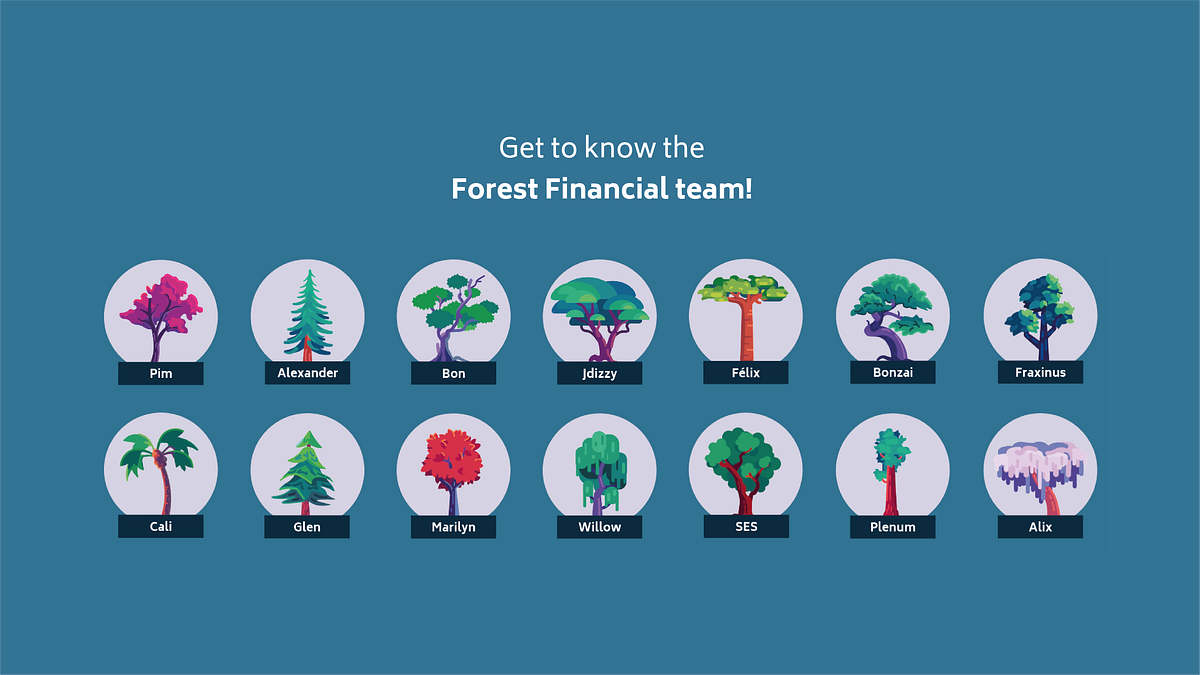 Meet the Forest Financial team. Forest Financial is built by a talented ...