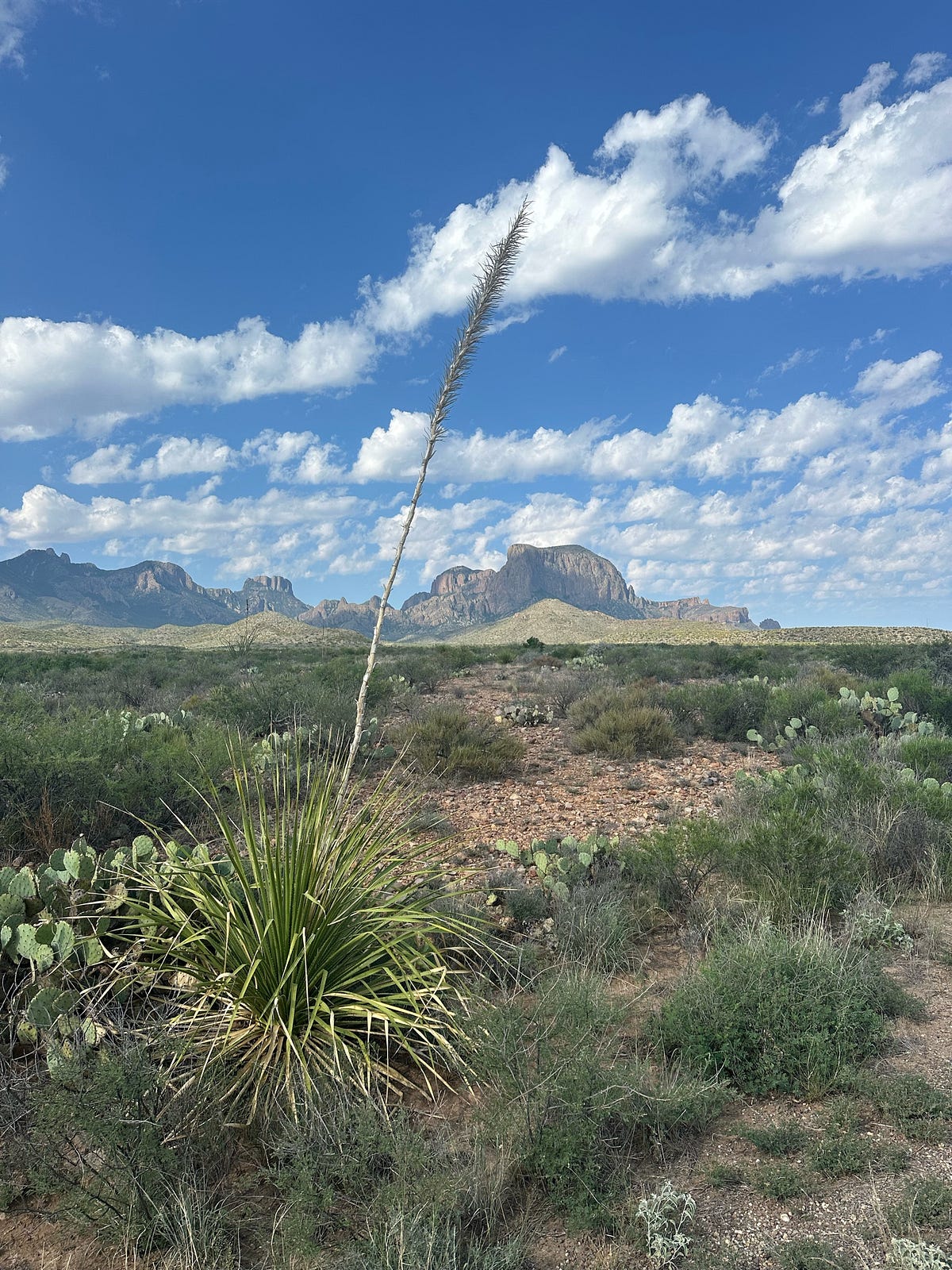 Unachievable. There are movies and songs and books… | by Katahdin ...