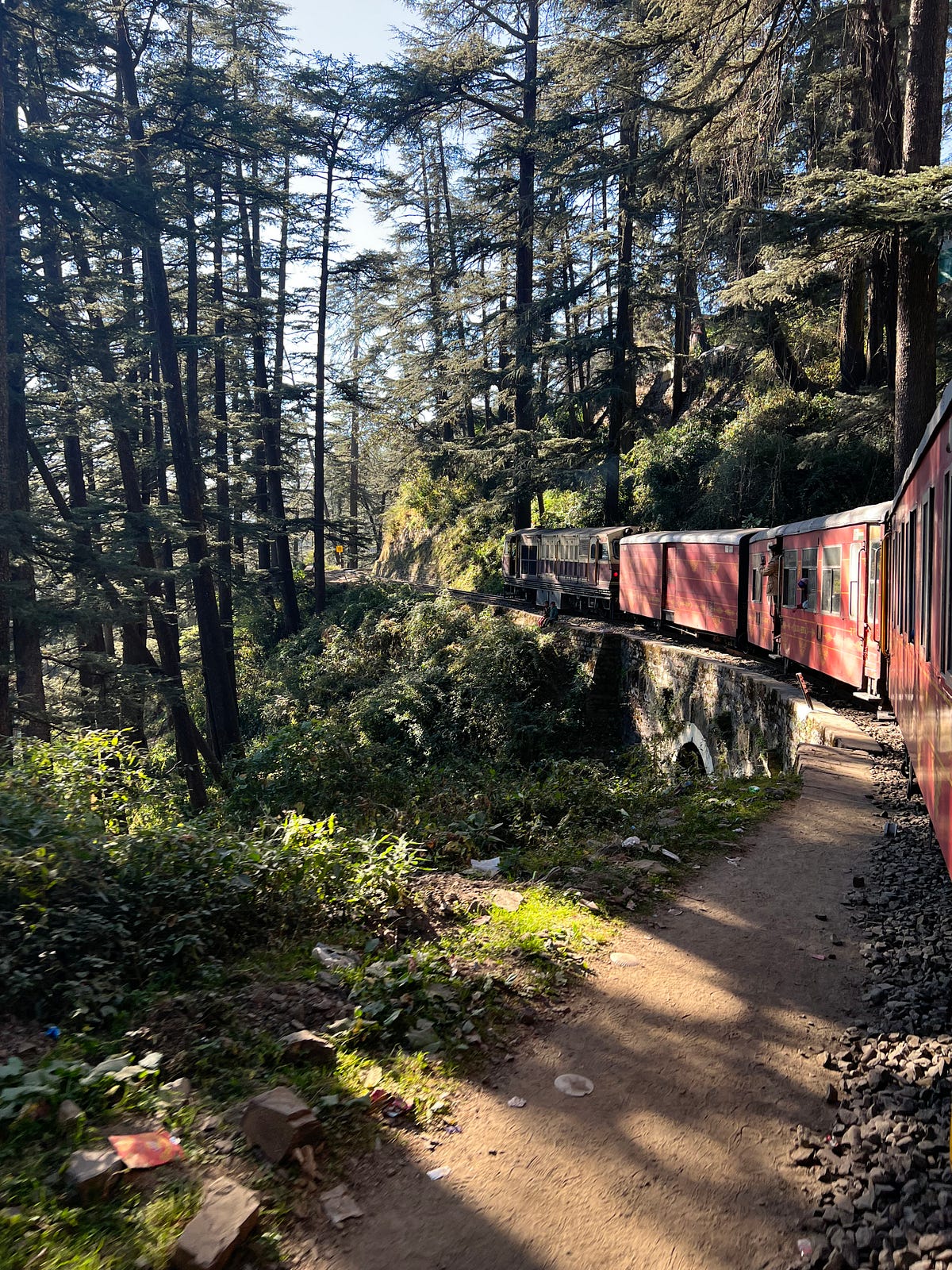 Plane vs. Train: Why I Opt for the Rails Every Time | by Ashi Sharma ...
