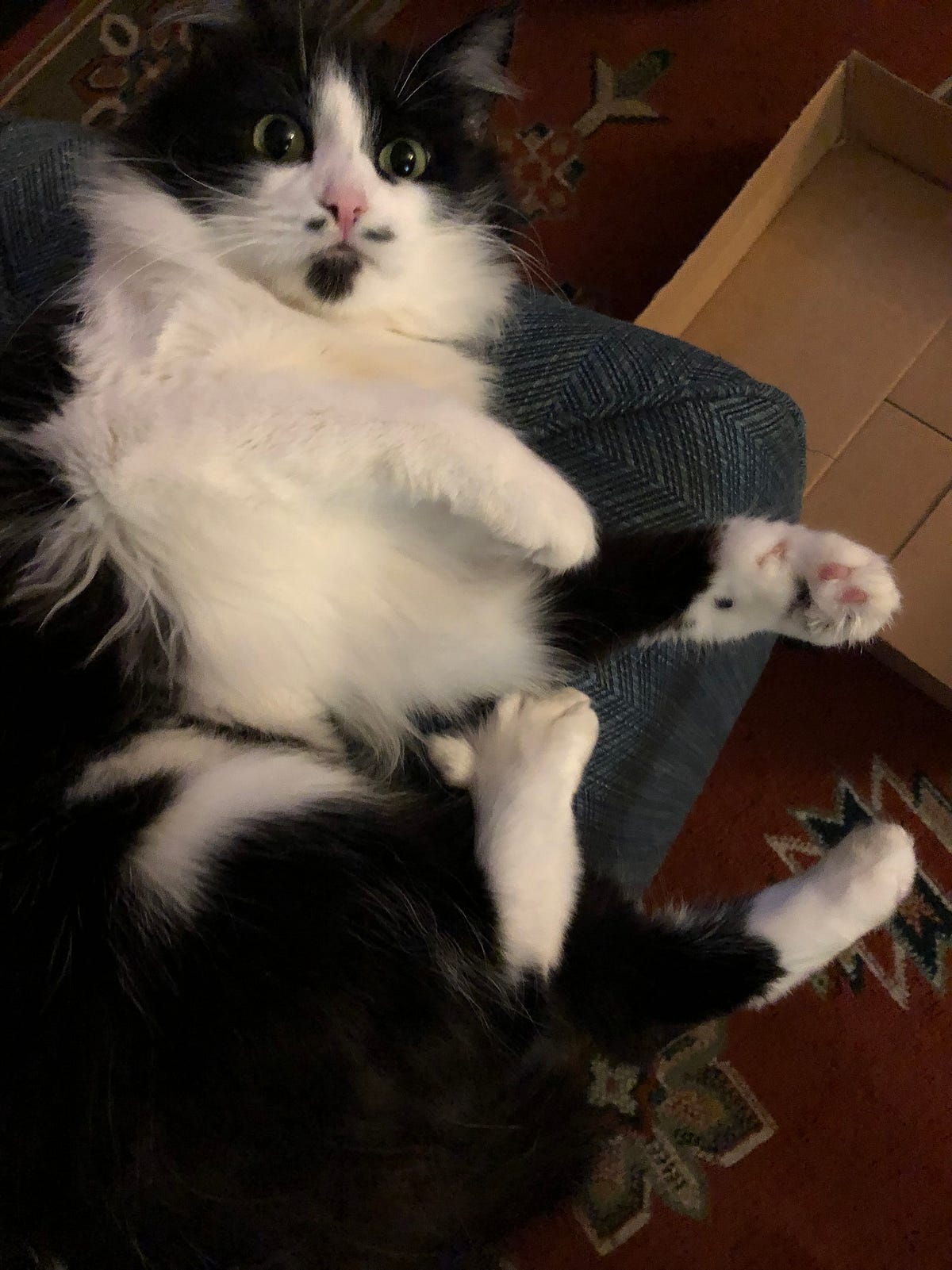 It’s not about your ****ing intention | by Virginia Ulrich | Medium