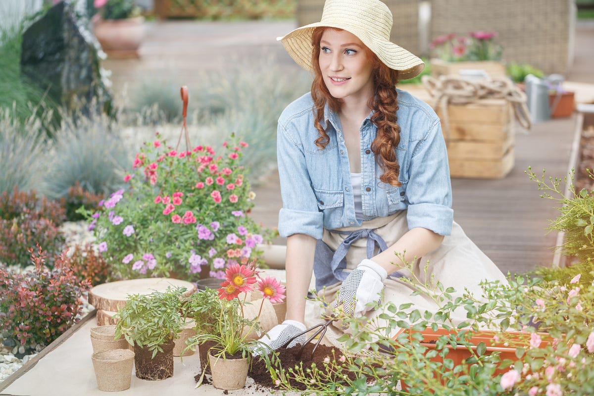 Benefits of building a flower bed in front of the house | by Green ...