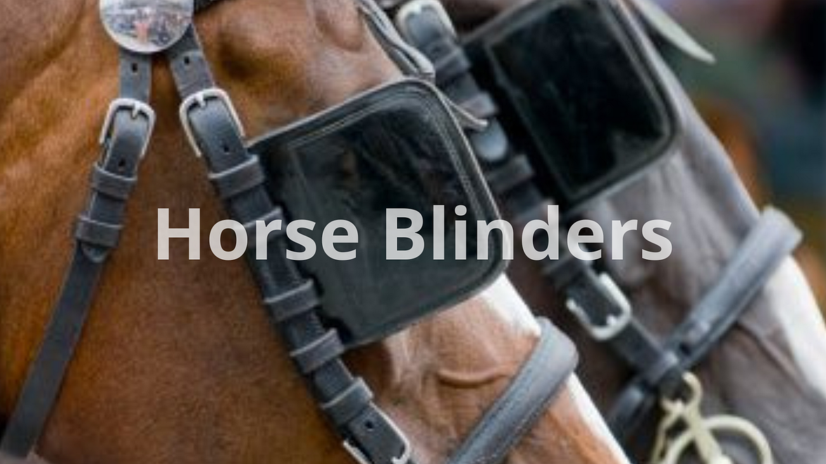Horse blinders. What’s the mean? horse blinders… | by diary zaman | Feb ...