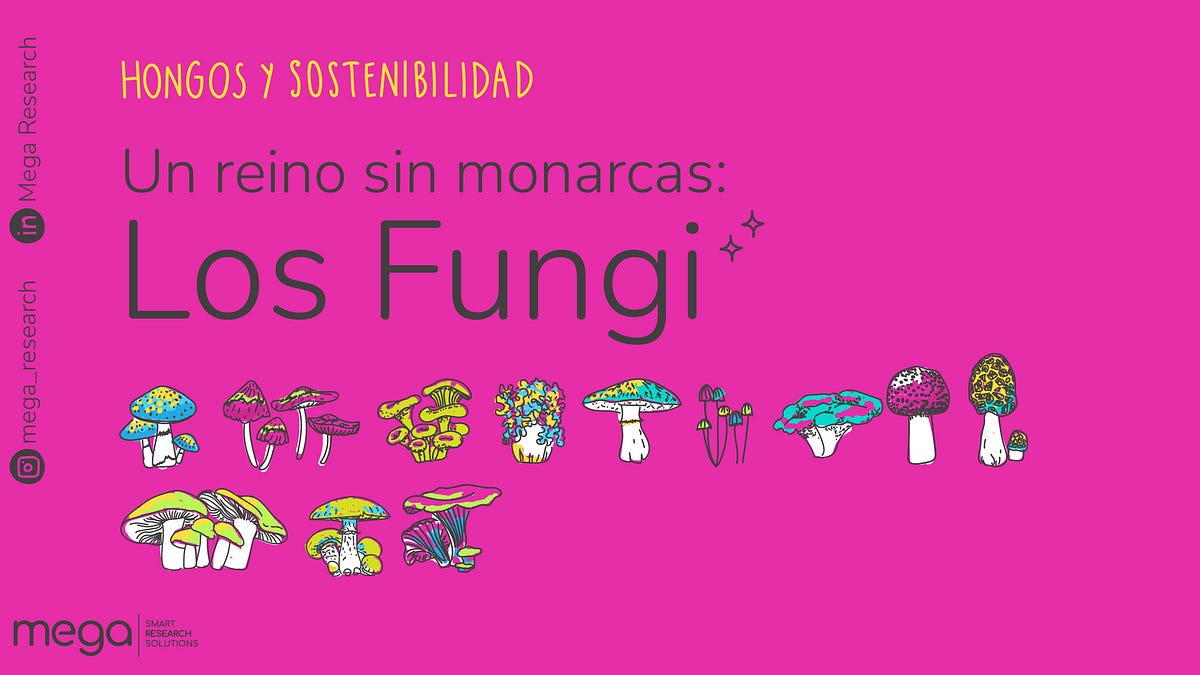 Un reino sin monarcas: Los Fungi. Es un reino entero y poco se sabe de ...