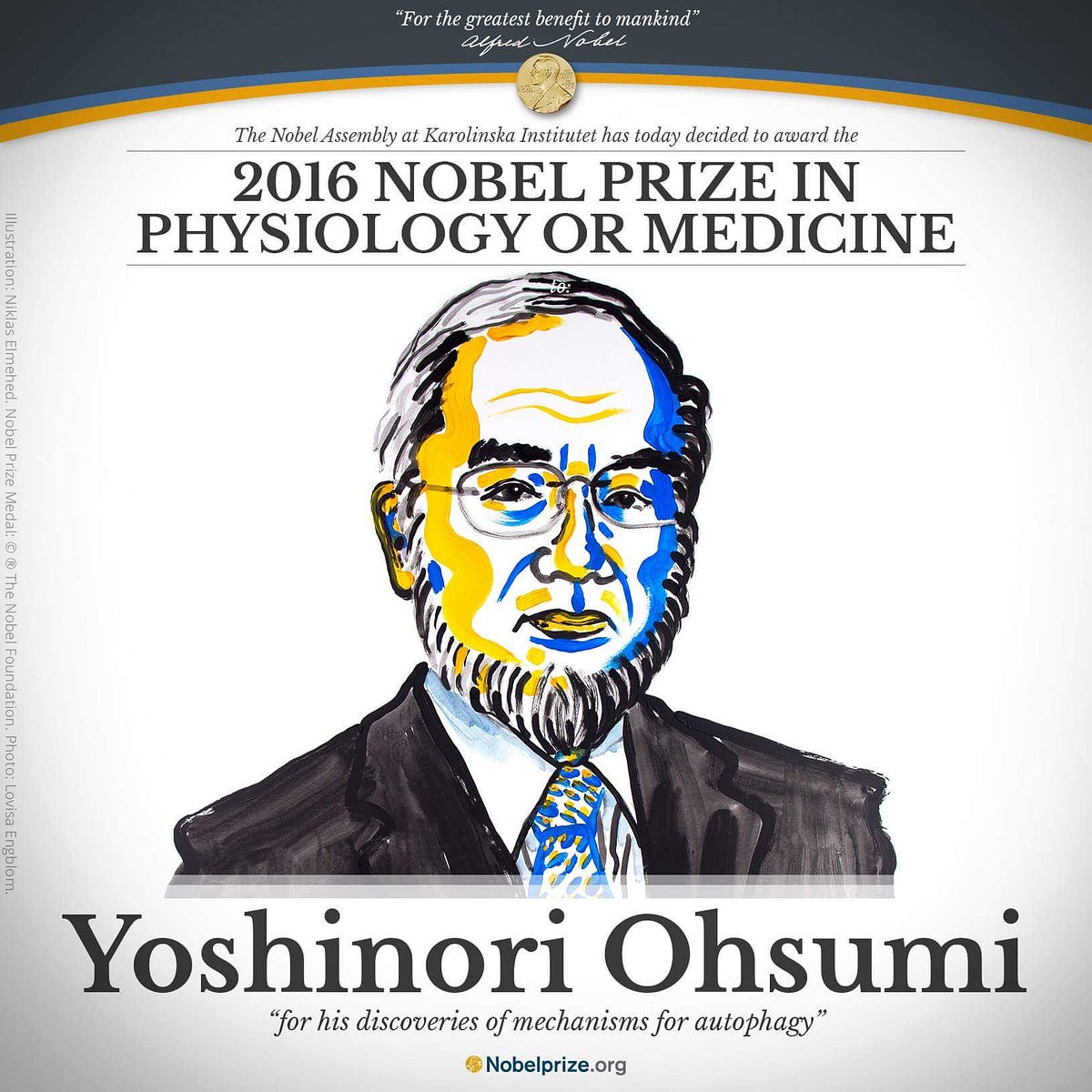 BREAKING NEWS The 2016 Nobel Prize in Physiology or Medicine to ...
