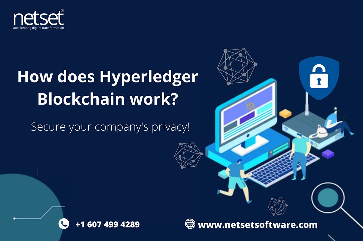 How does Hyperledger Blockchain work? Secure your company’s privacy! | by Netsetsoftware | Medium
