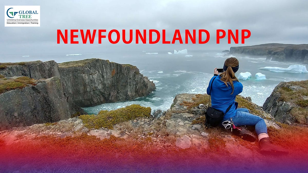 Newfoundland Nominee Program Consultants — Global Tree. | by Rushander ...