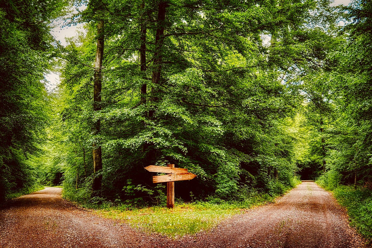 Compassion to An Uncommon Degree: Natural or Learned? | by Teja Ray ...