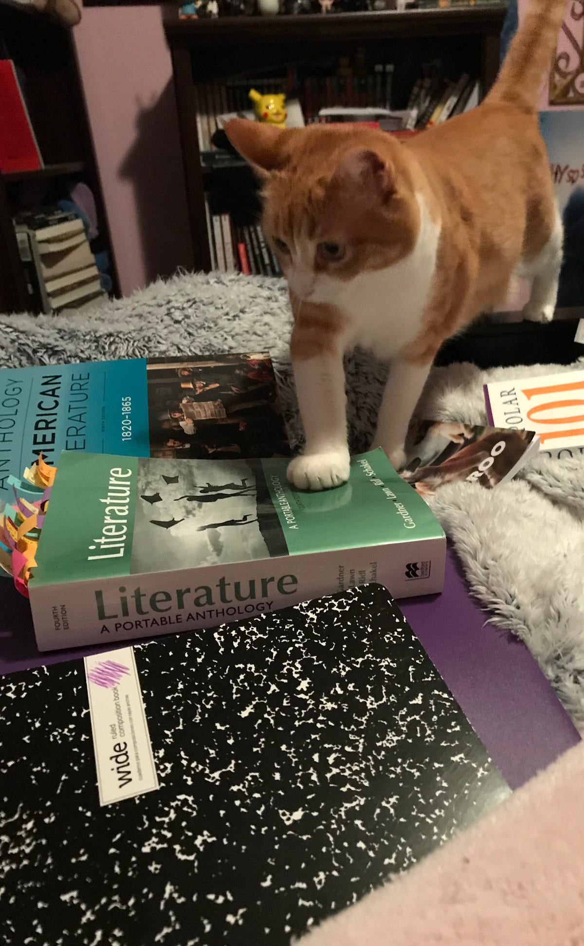 How to Survive College With a Creative Writing Degree (Part 2/3) | by E ...
