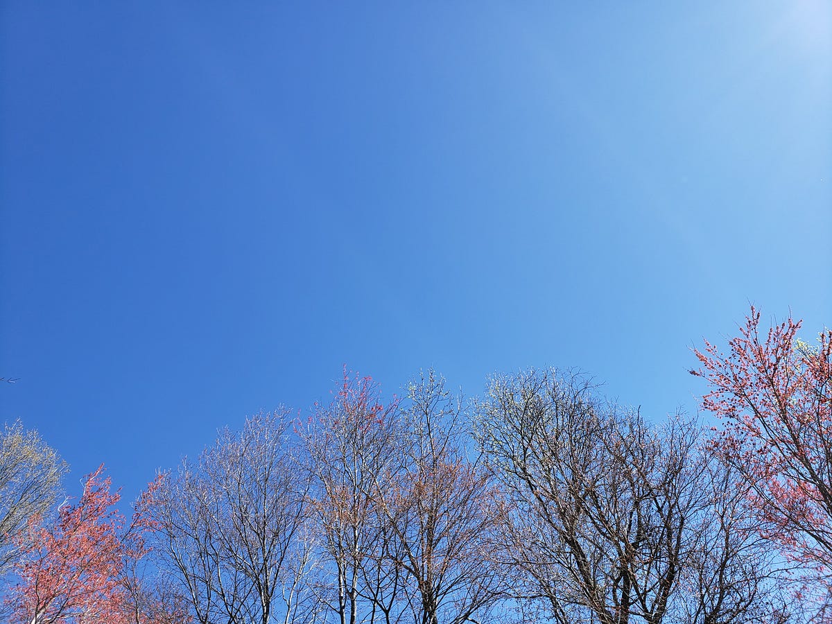 Early Spring - Blue Insights - Medium