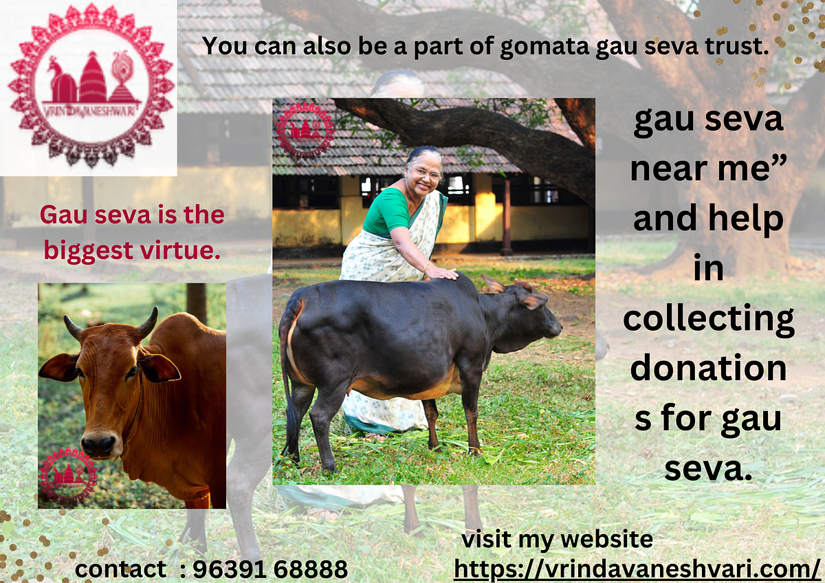 Donation For Gau Seva - Varinda Vanshwari - Medium