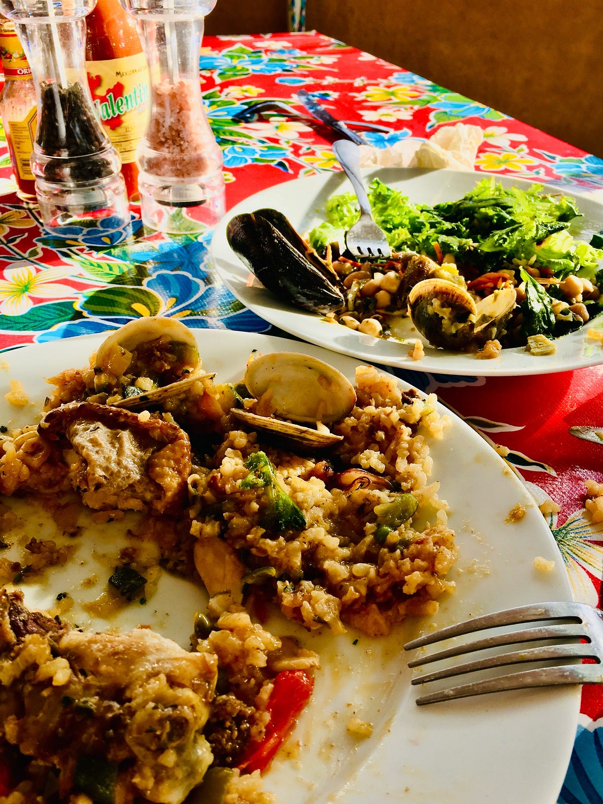 Out of the Desert | by Mandeline Sterling | Oct, 2024 | Medium