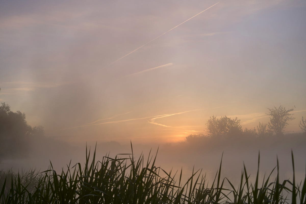 Even Strength Must Rest: Learning to Slow Down and Heal | by paday∞n ...