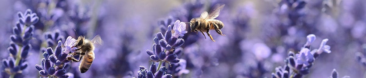 2. Music Visualization: Tooling Up For Hive Learning | by Andrew ...