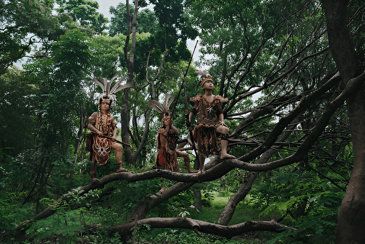 The Forest That Feels: What the Dayak Katab Kebahan Teach Us About ...