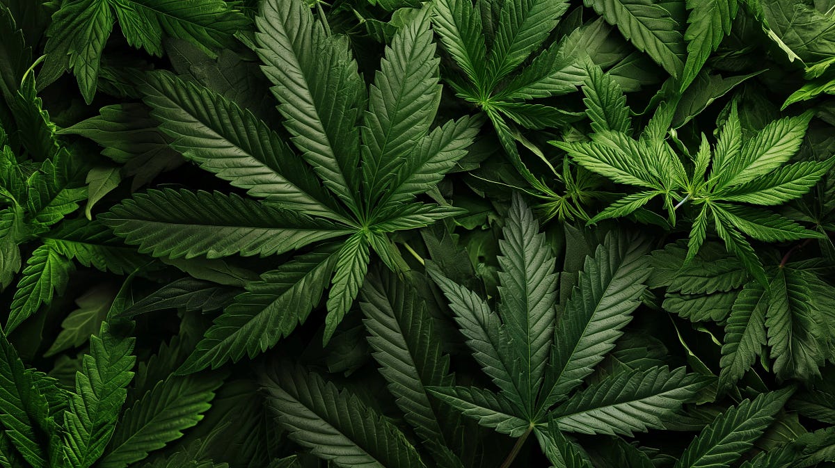 Marijuana and Sleep: The Truth About THC and CBD | by Kevin Jägle | Mar ...