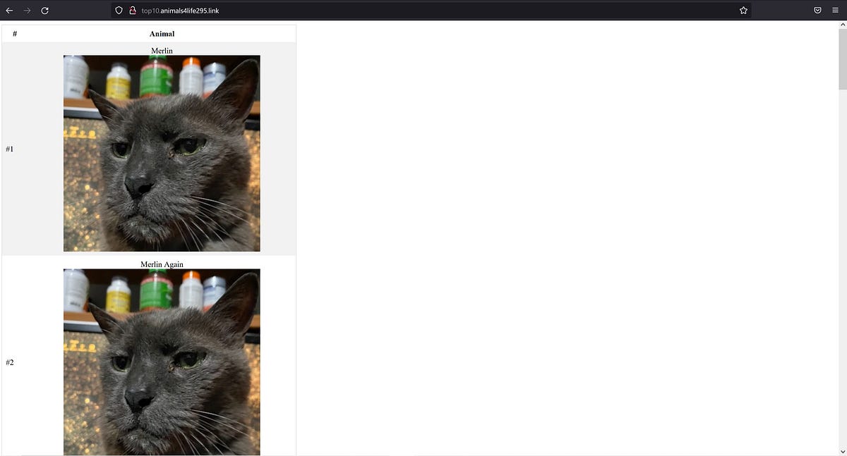 Creating a static website with Amazon S3 | by Teslim Kazeem | Medium