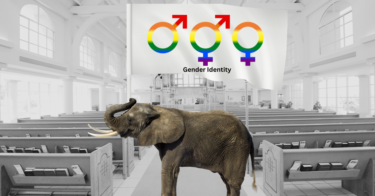 Addressing the Elephant in the Room: When Truth Is Called Insanity | by ...