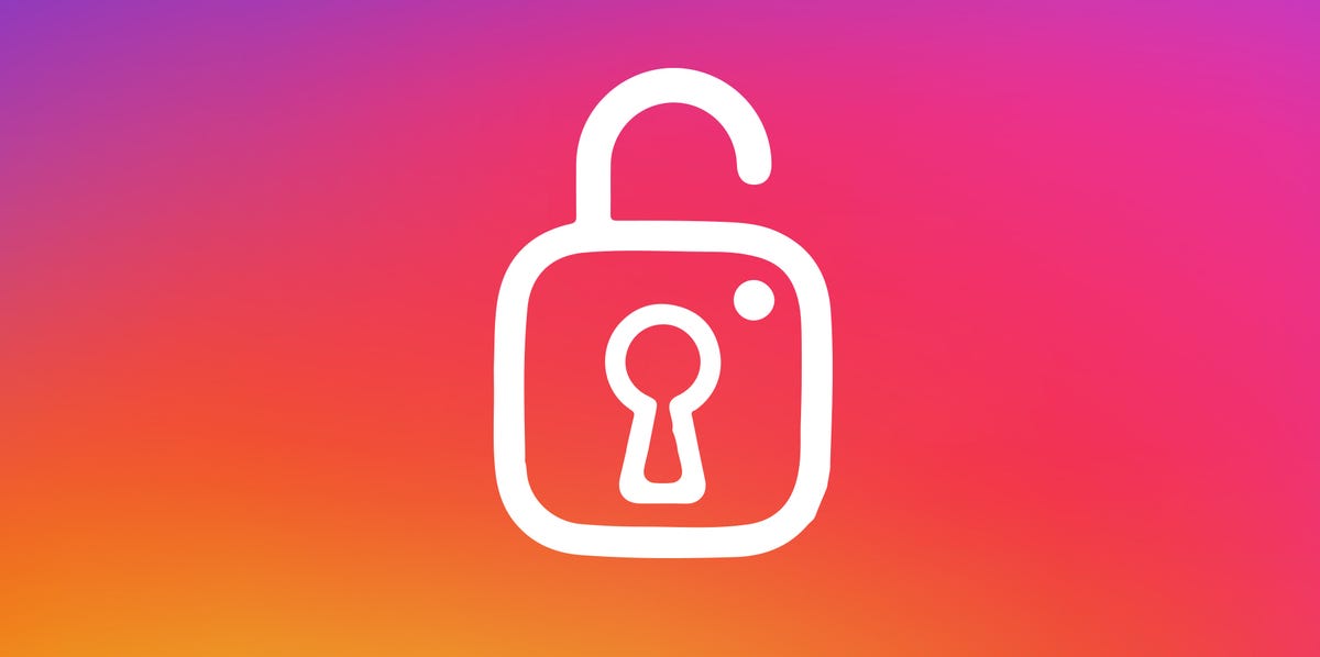 How I Turned a 3AM Idea Into an Instagram Business | by Shawn Krantz ...