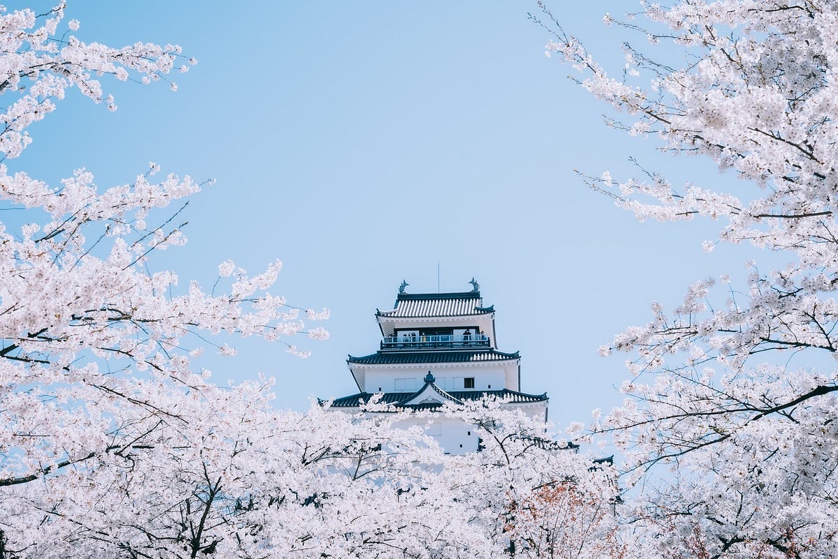 Write for Japonica!. Send us your stories on Japanese life… | by DC ...