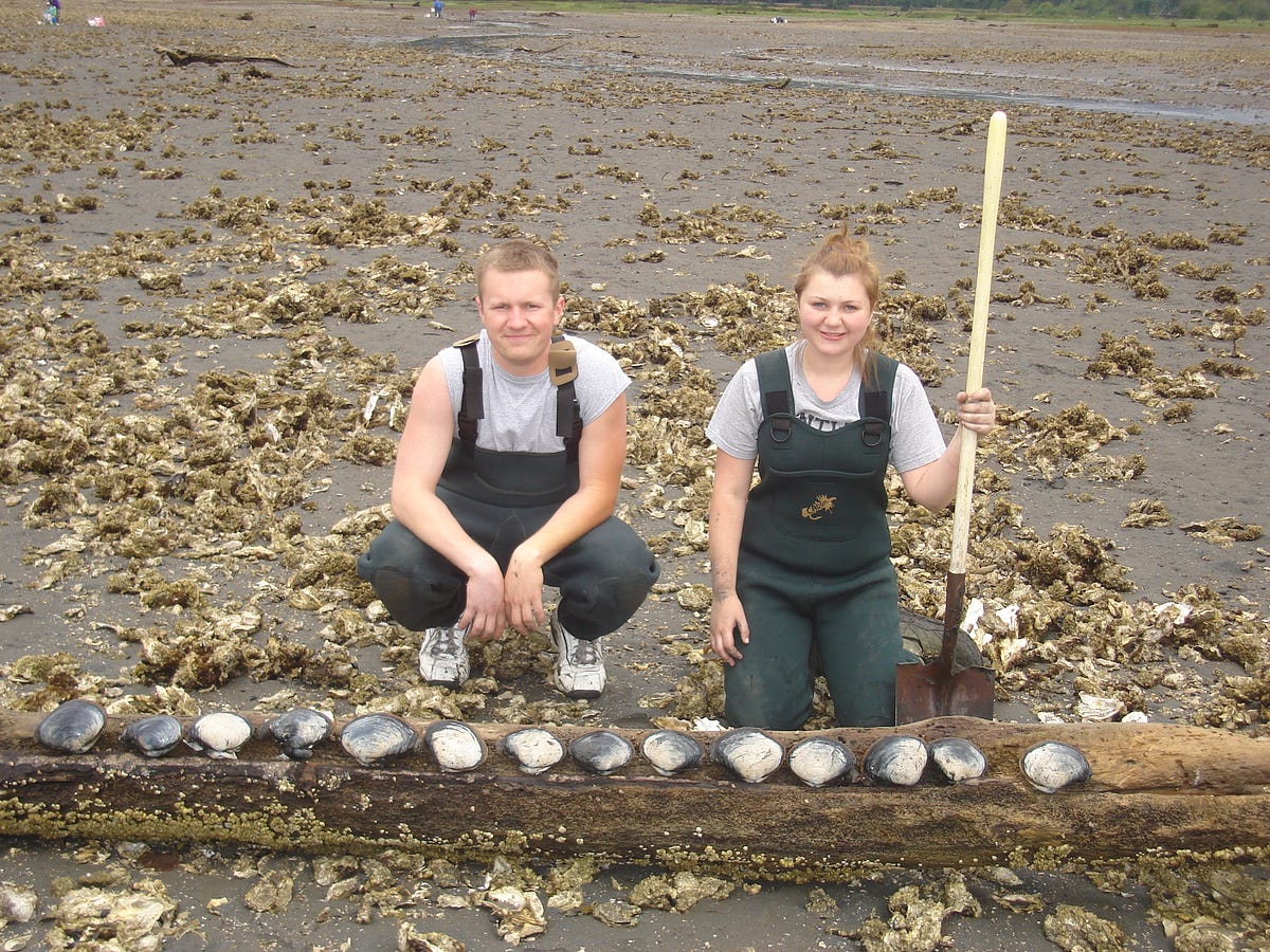 Head to the many public beaches of Washington and discover the joys of ...