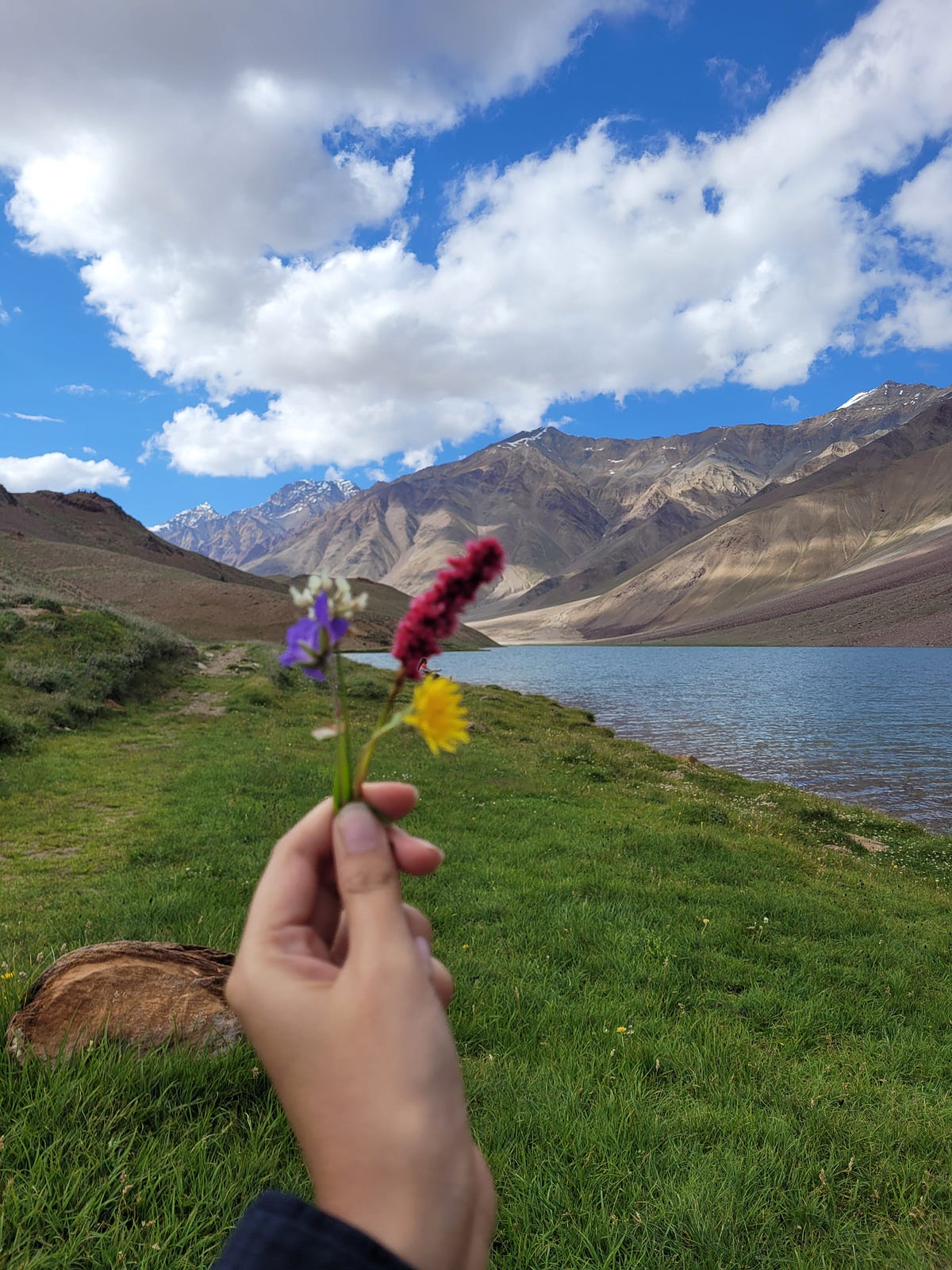 A letter to my future self. An evergreen Time Capsule | by Chandni Beniwal | Medium