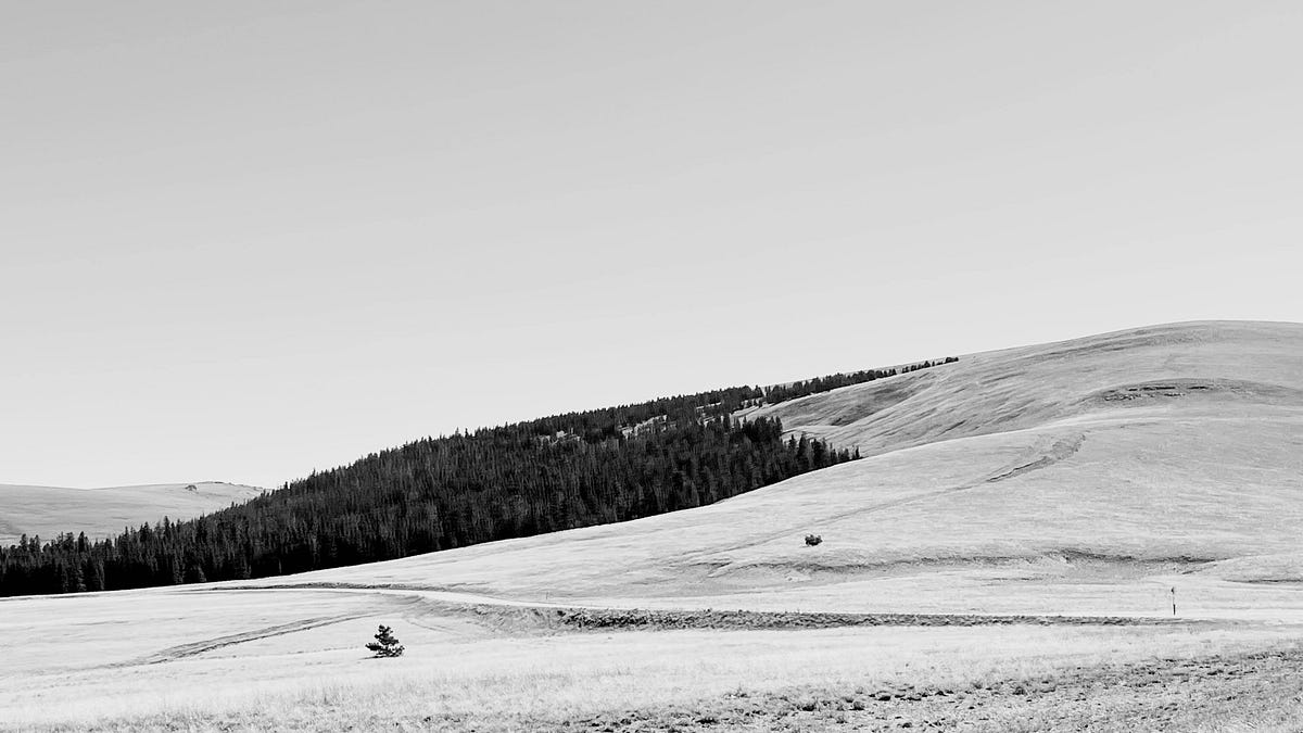 Dispassion Defeats Procrastination | by Inscribed | Medium