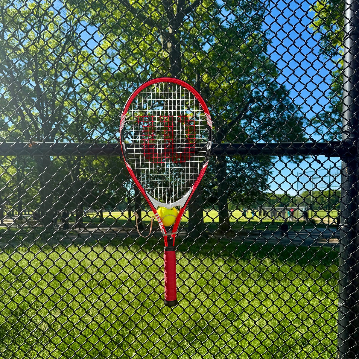 Time Together — The True Bounce of Life: Join My 365-Day Peaceful Photo ...