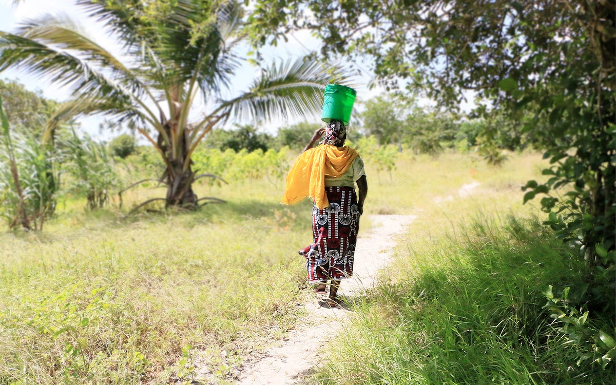 Mama Fatuma & the farmers. Kazule village, Tanzania, May 2014 | by Tri ...
