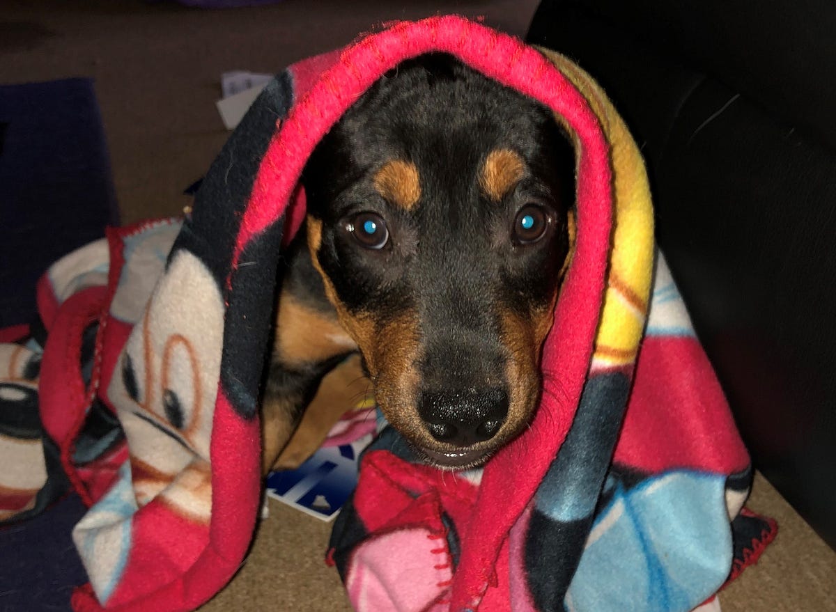 Rotto was lost in the dark, and he was scared, so he cried. Outside ...