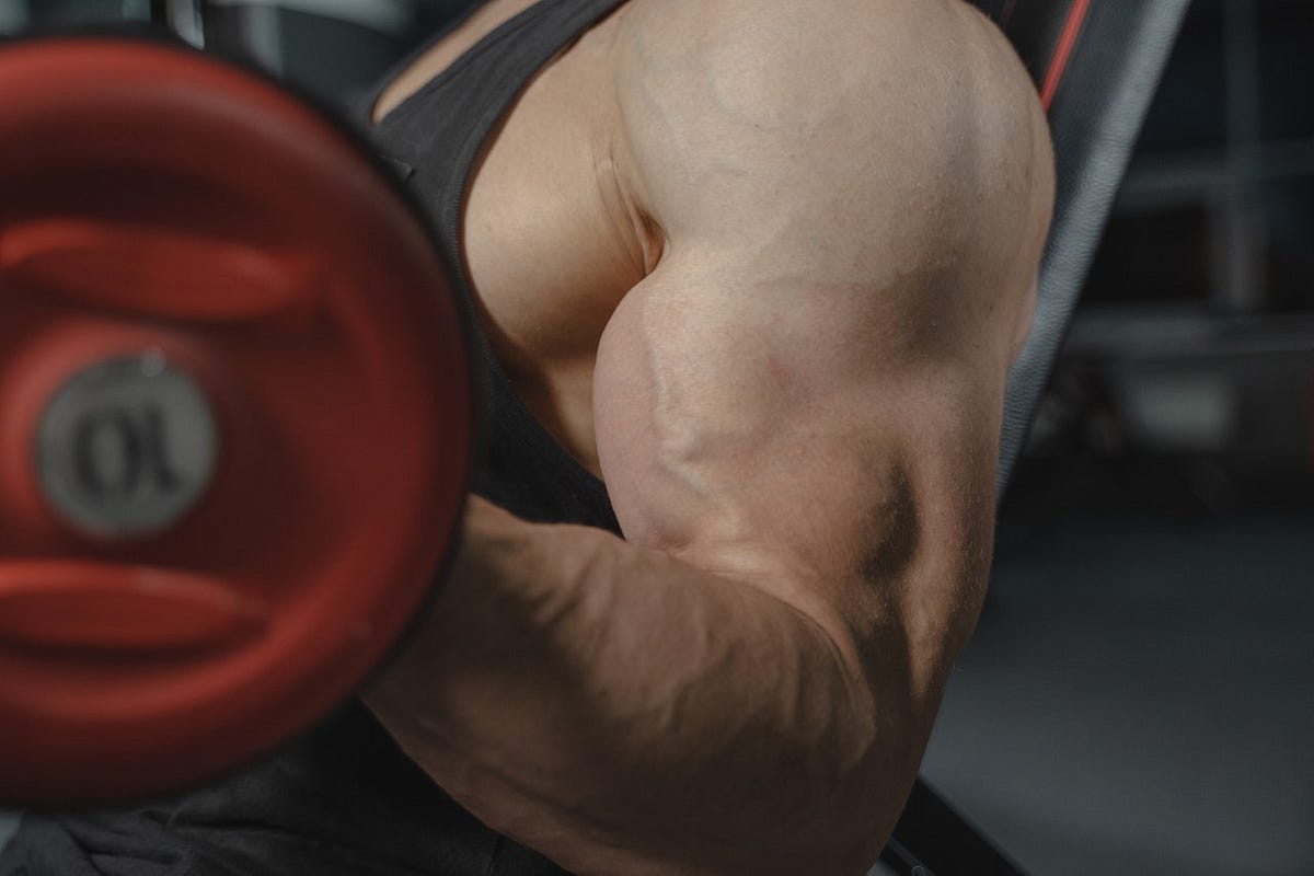 Effective Exercises to Maximize Muscle Growth! | by Danny djafar | Medium