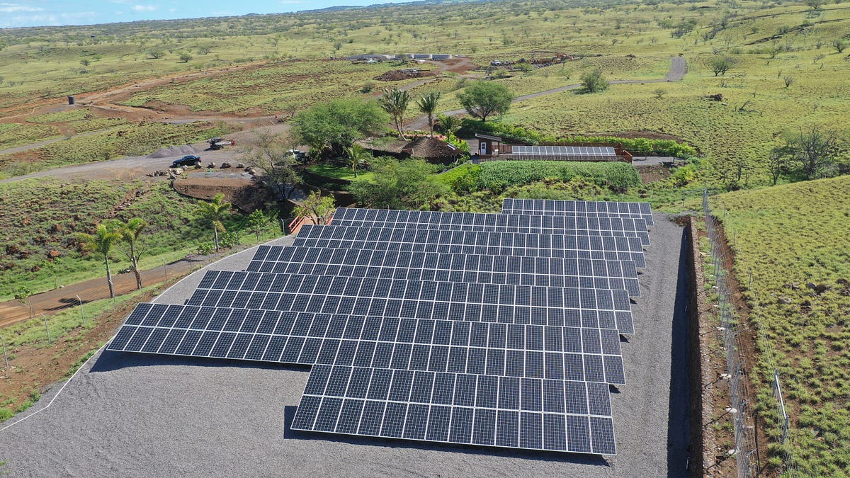 A Massive Global Reforestation Project Is How We Fix Climate Change ...