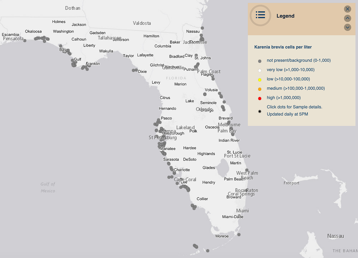 Red Tide IS NOT Back On Anna Maria Island | by Chet Stevenson | The ...