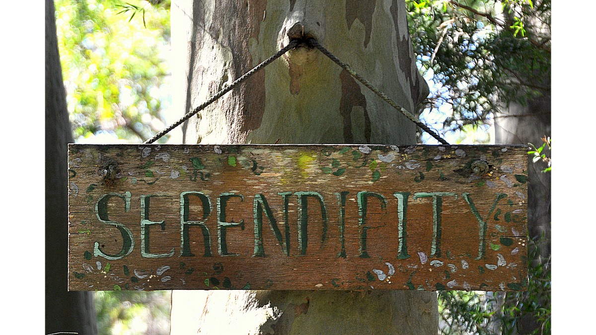 Three critical elements which attract Serendipity! | by Moments of ... Three critical elements which attract Serendipity! | by Moments of ...