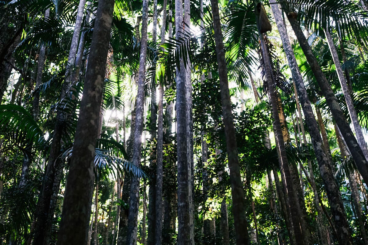 Get Lost — Chapter 1. “Feeling lost, crazy and desperate… | by A ...