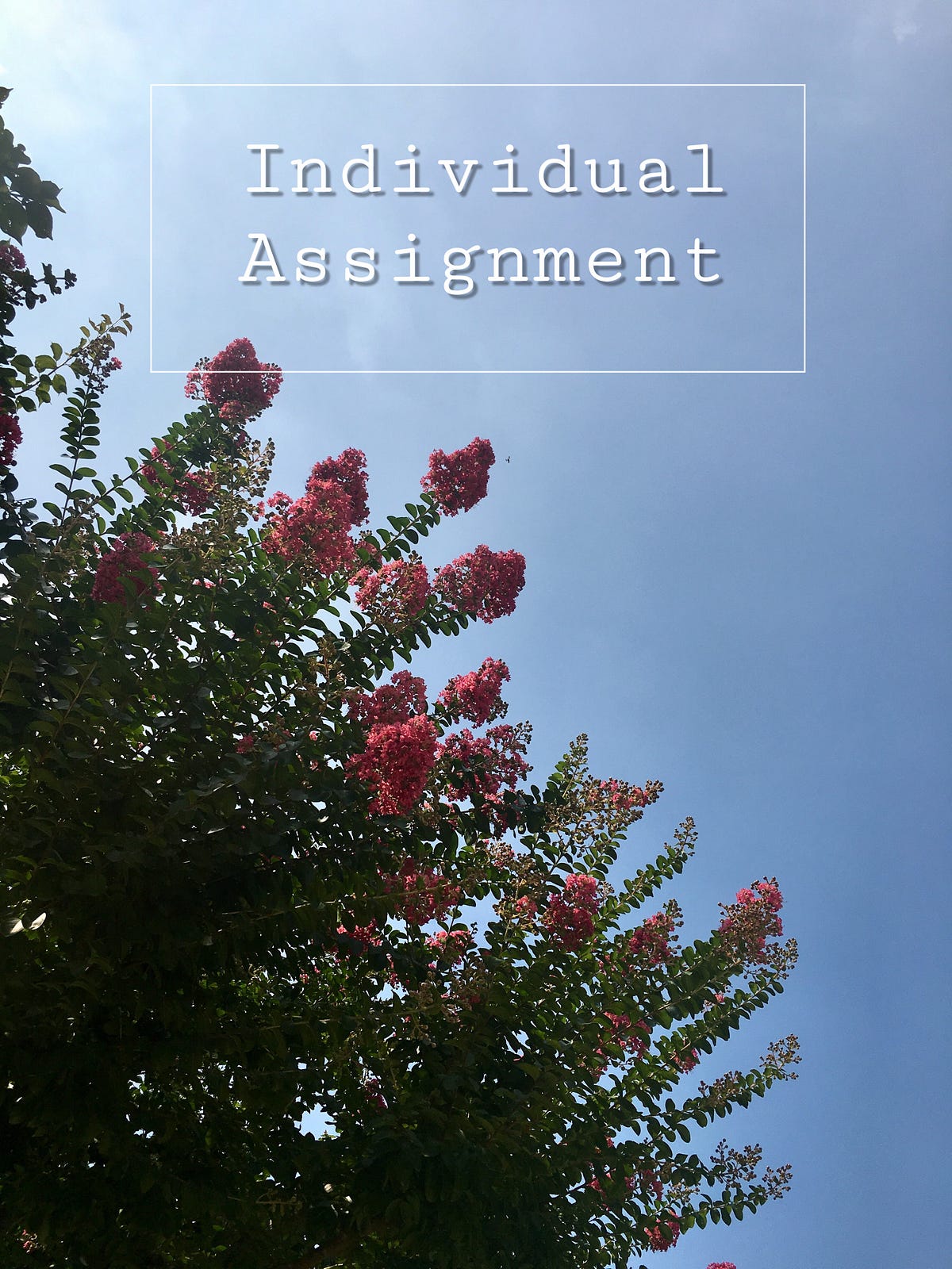 Individual Assignment [DV2008]. Walk through of Group Assignment | by ...