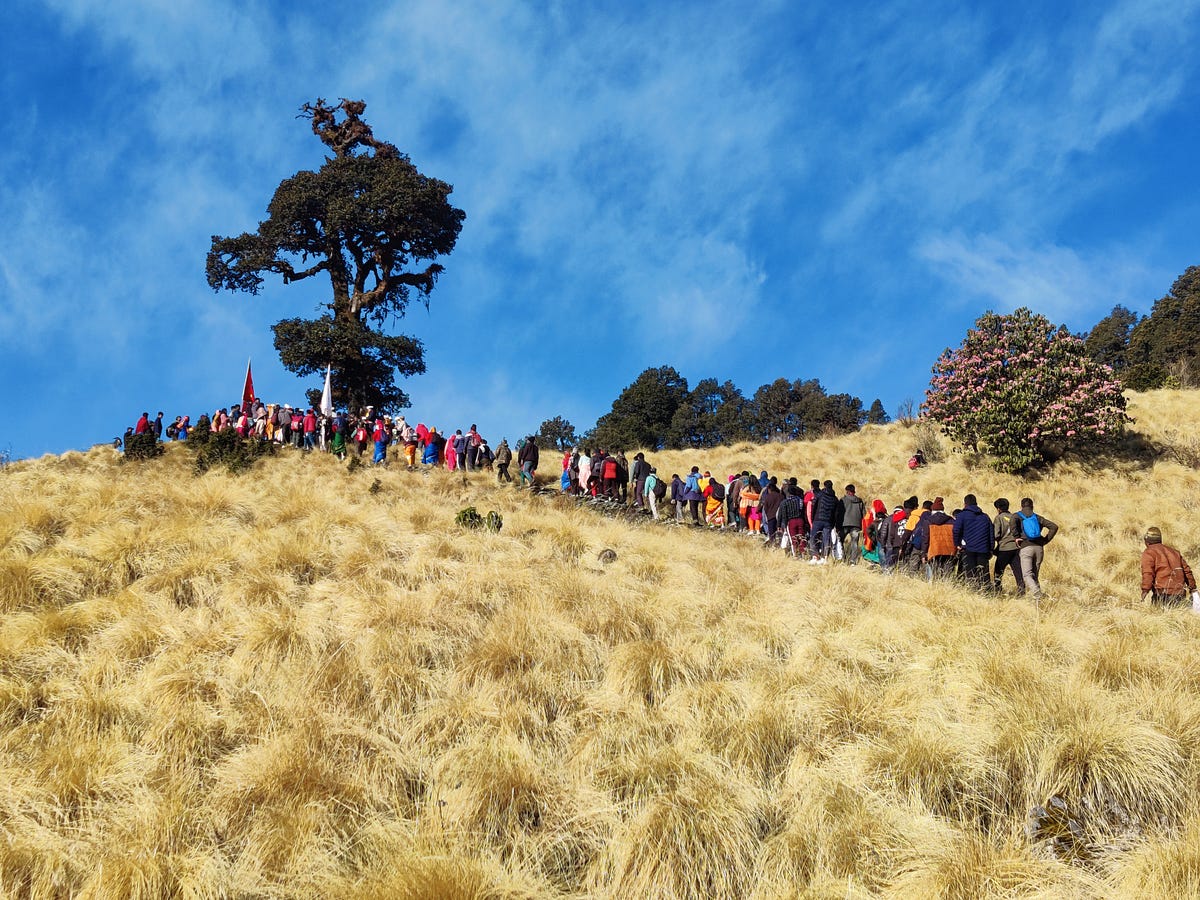 Are we ready for this Life?. Dear Great Soul, | by Suravi Sharan | Medium