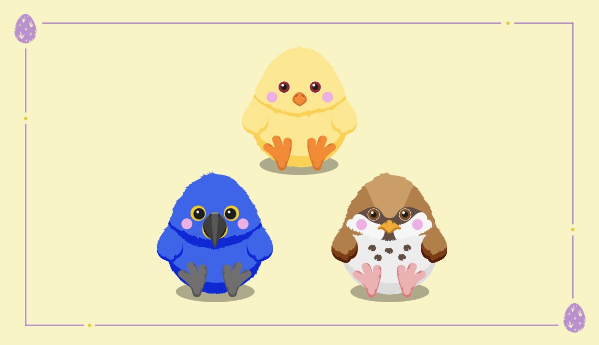 Talking about Birds, the new animal specie of Hashapon | by Hashapon ...