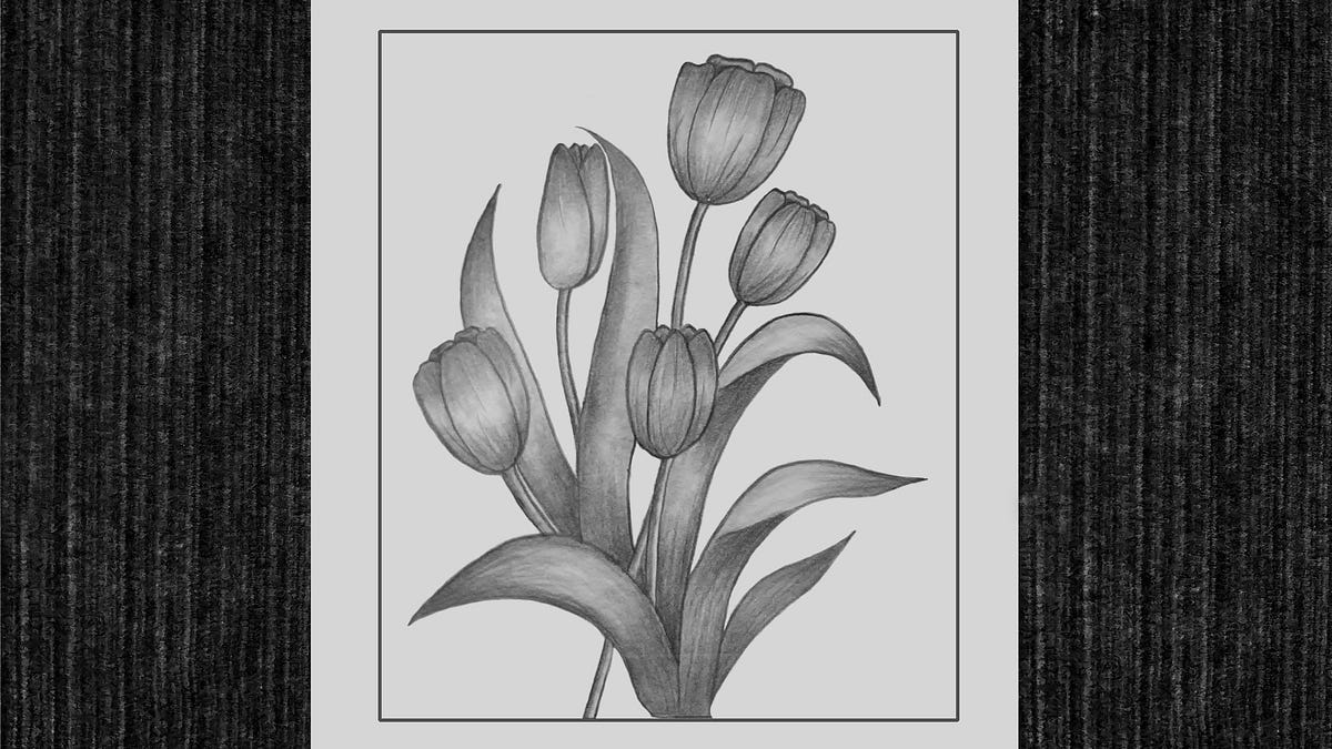 Tulip Flower Drawing Tutorial | Easy Flower Drawing Tutorial for ...